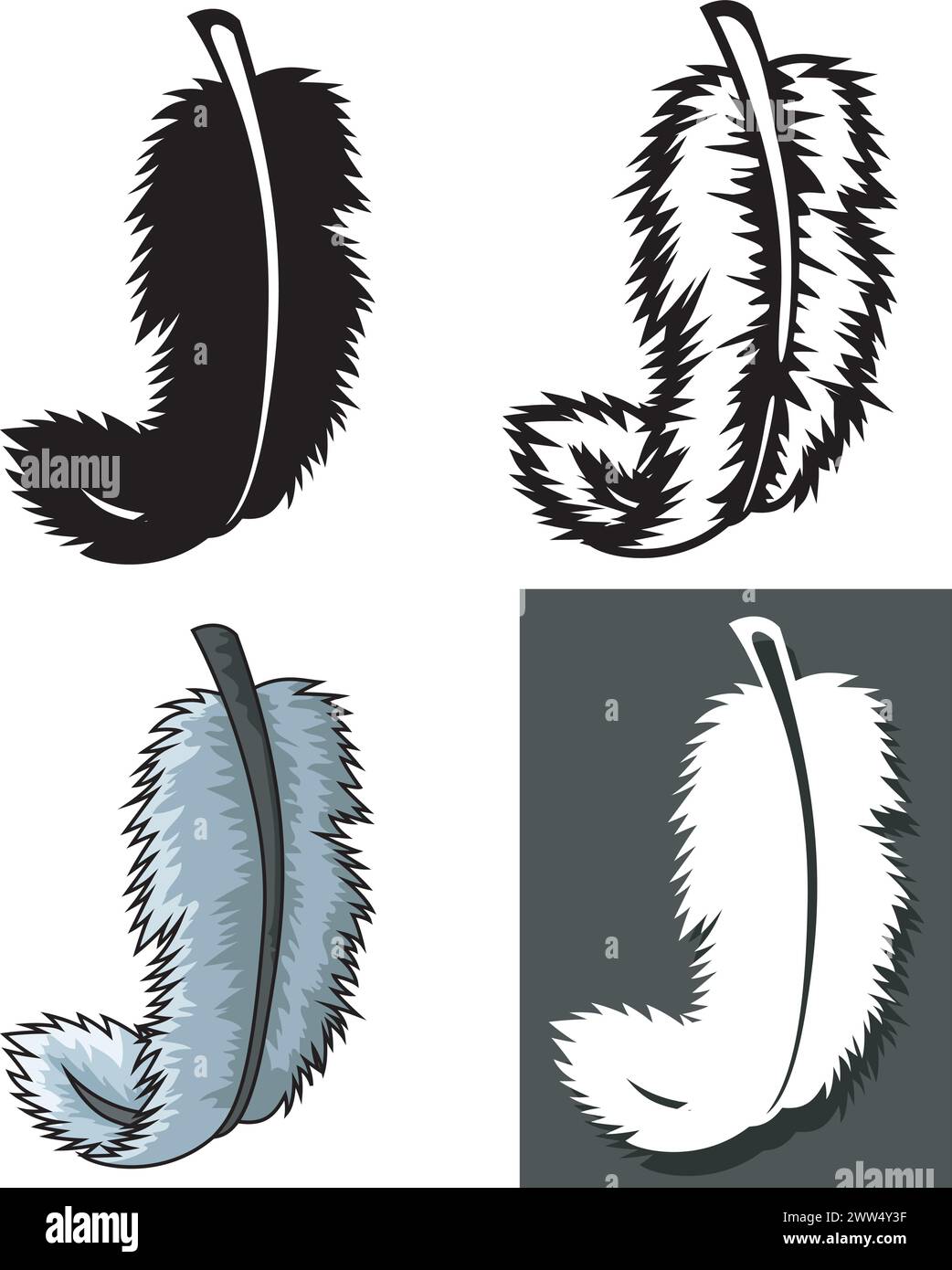 Set of Feathers Types with Different Concept, Vector Illustration Stock ...