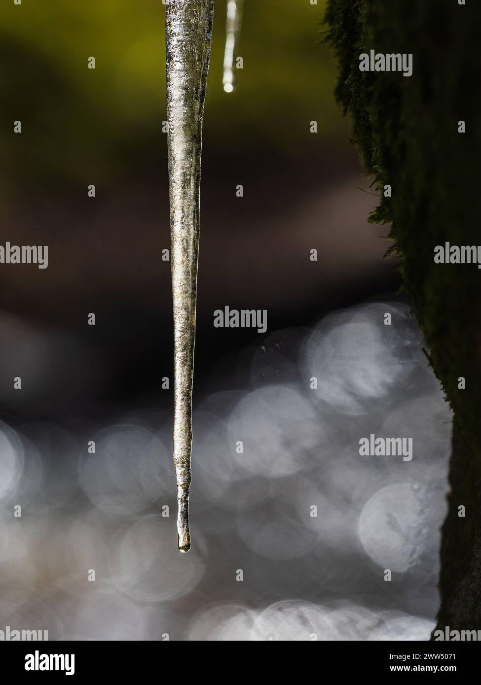 A single icicle is suspended above the surface of a sparkling river in ...