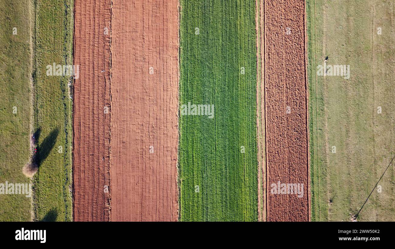 Aerial drone view of agricultural fields. Cultivating crops and farming ...