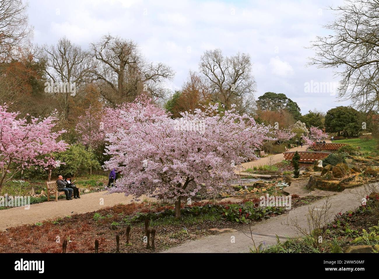 Rock Garden, RHS Garden Wisley, Woking, Surrey, England, Great Britain ...