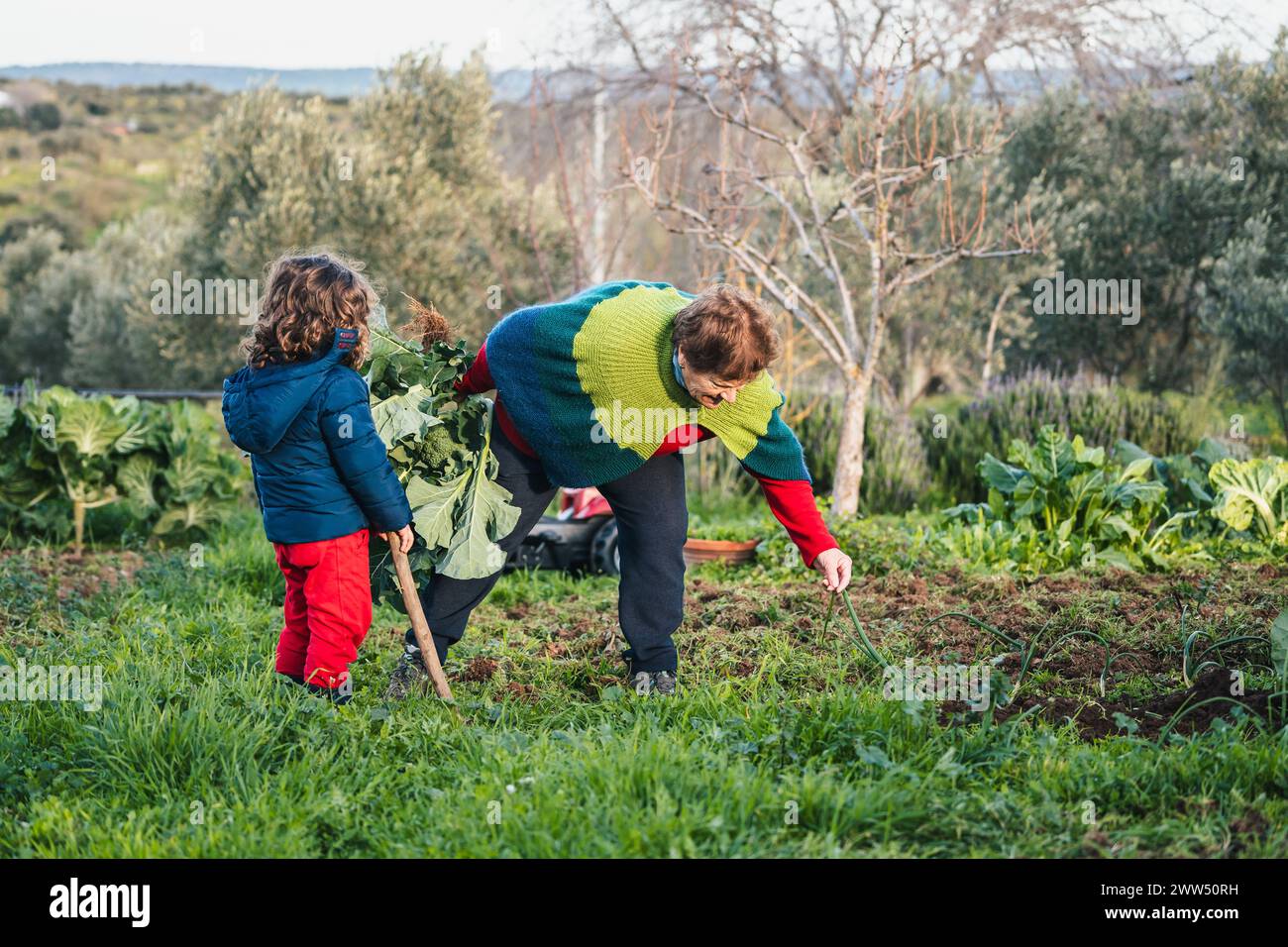 Family community garden planting hi-res stock photography and images ...