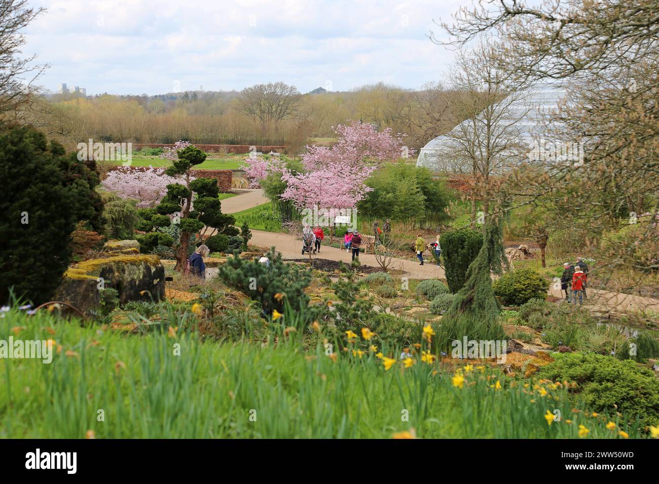 Rock Garden, RHS Garden Wisley, Woking, Surrey, England, Great Britain ...