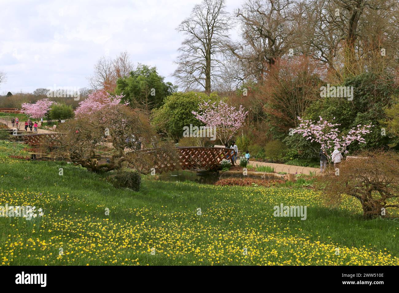 Alpine Meadow, RHS Garden Wisley, Woking, Surrey, England, Great ...