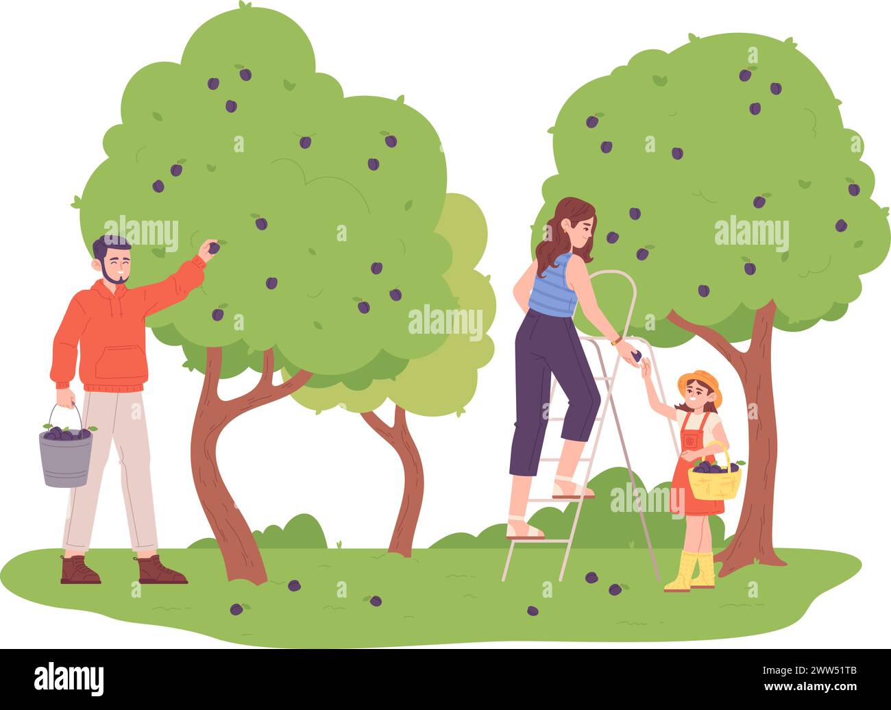 Family harvesting fruits in green garden. Summer farm isolated on white ...