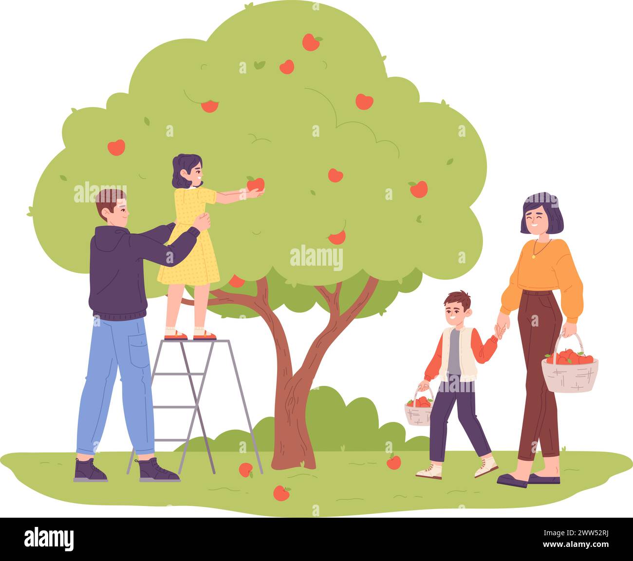 Family harvesting apples from fruit tree garden. Farm scene isolated on ...