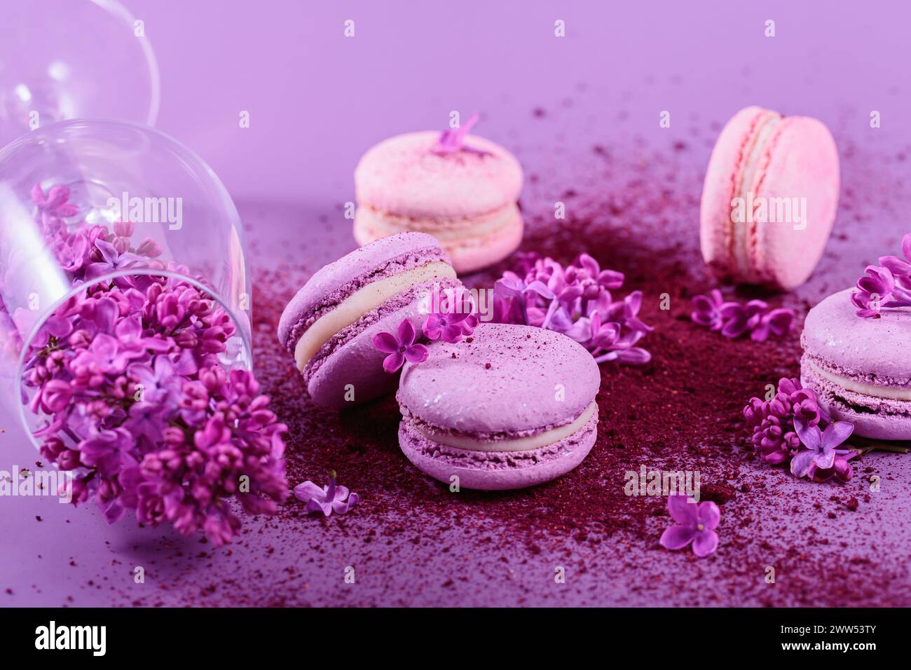 Sweet pastel french macaroons with splash of dry blueberry powder Stock ...