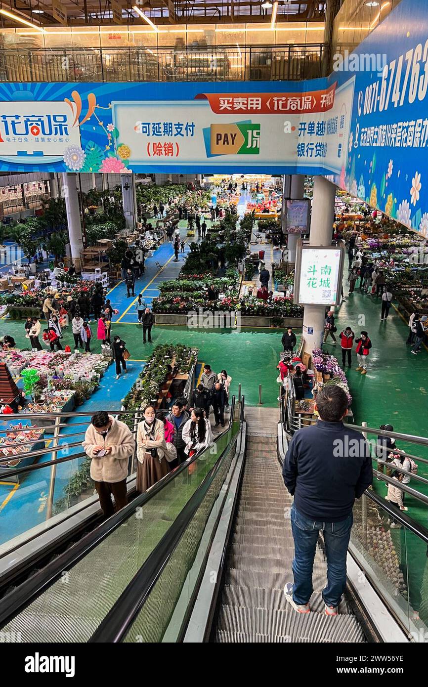 Kunming, China. 06th Dec, 2023. Fresh flowers are on sale at a flower ...