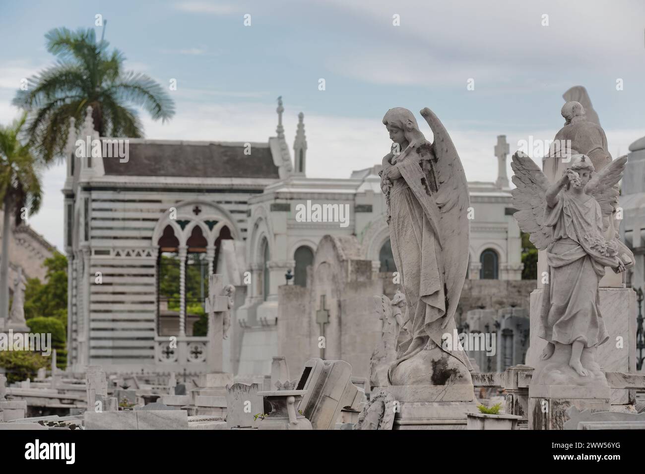 097 White marble sculptures topping sumptuous graves on the Avenida Cristobal Colon Avenue west ...
