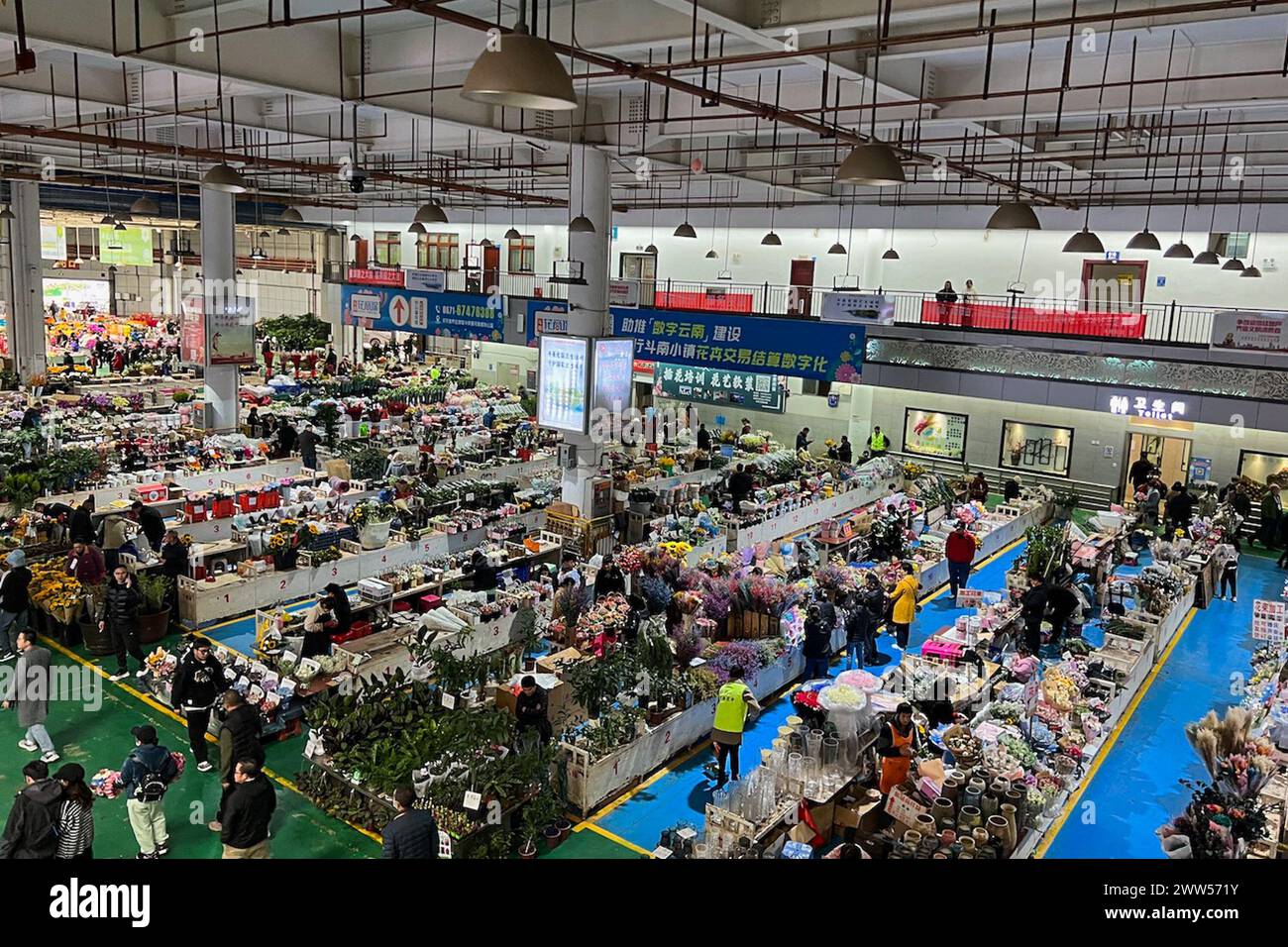 Kunming, China. 06th Dec, 2023. Fresh flowers are on sale at a flower ...