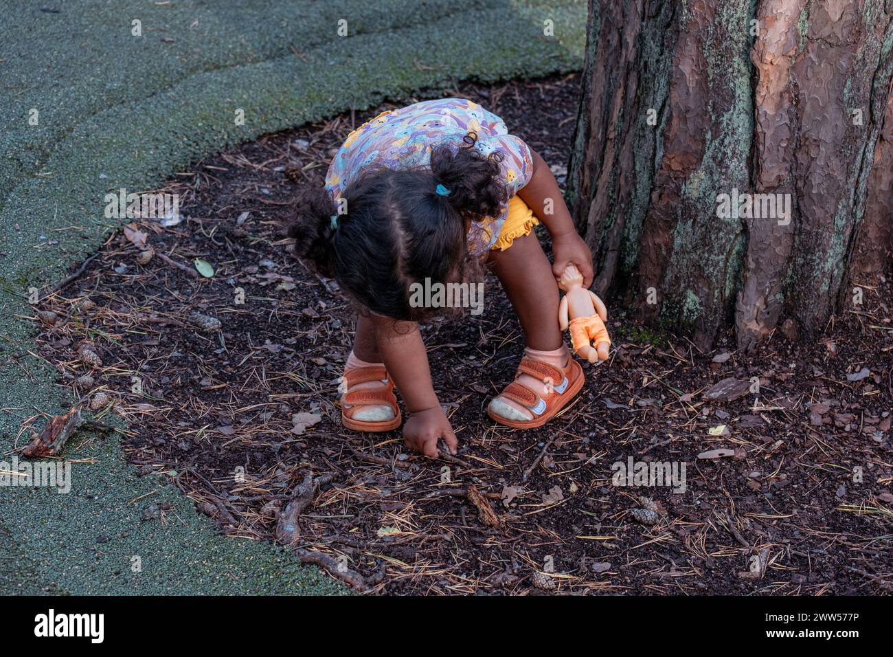 A little mixed race child bends down to touch the ground near a tree ...