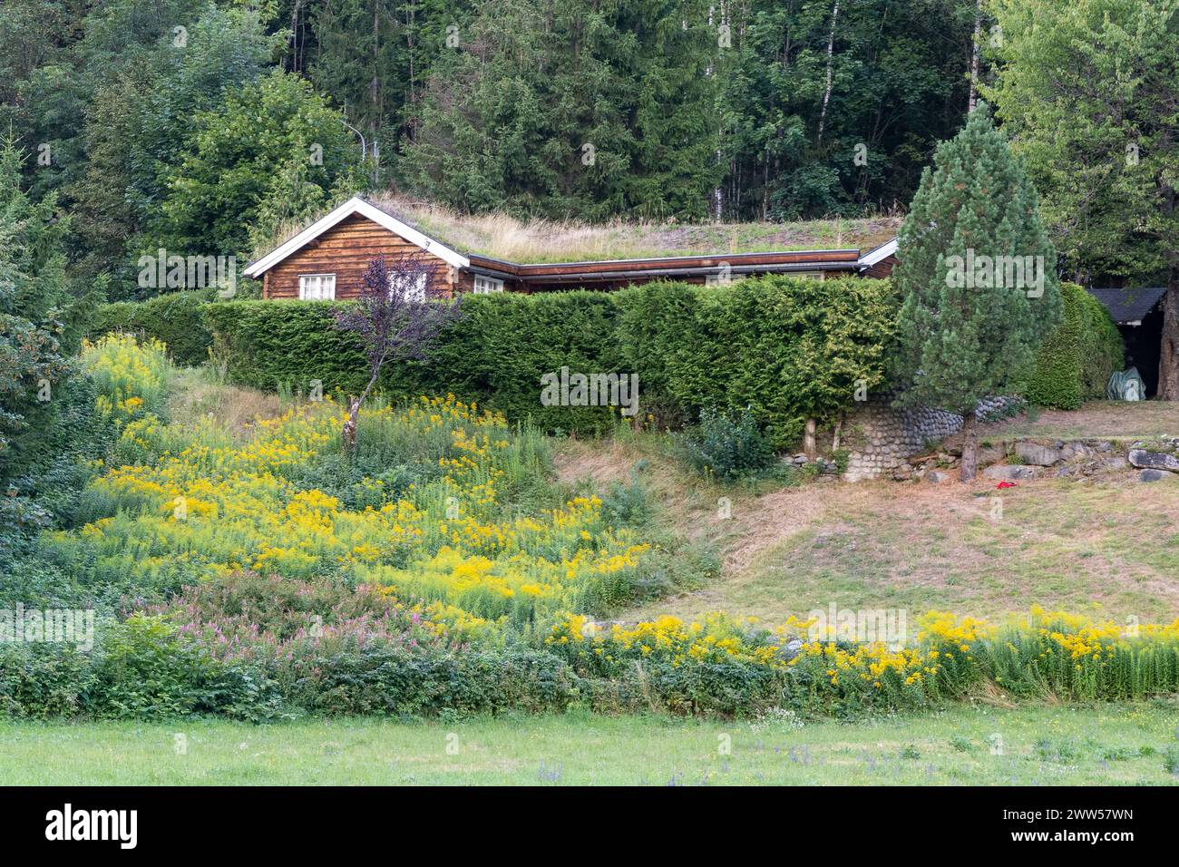 A turf house cottage, with the roof covered with earth and grass to ...