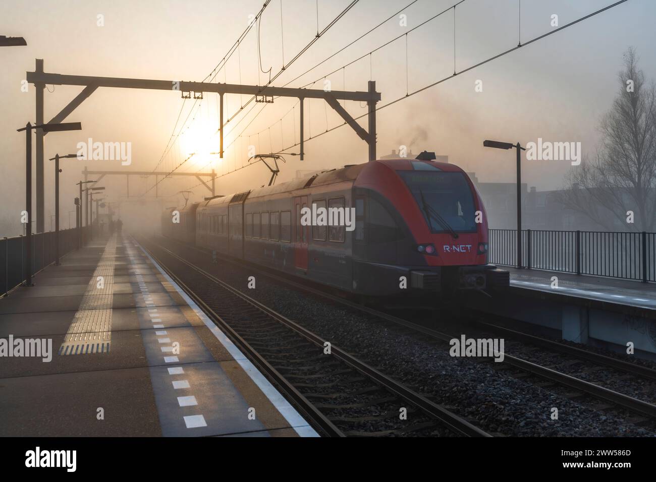 Passenger trains in morning misty railway stop in Dordrecht Stadspolders Netherlands 03 06 2024 ...