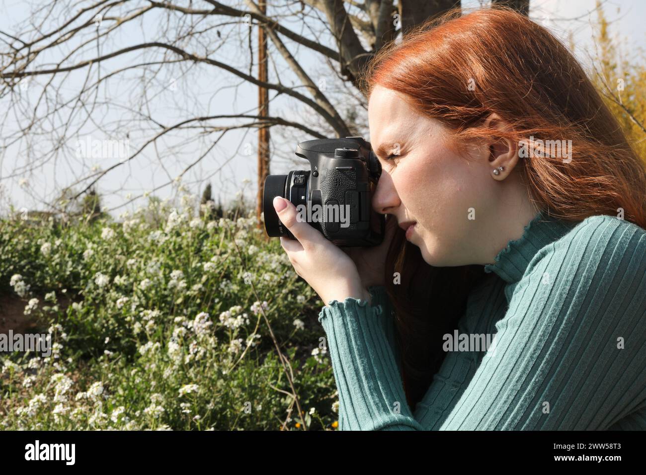 Red-haired woman taking photos of landscape flowers Stock Photo - Alamy