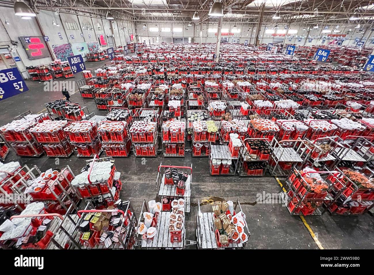 Kunming, China. 06th Dec, 2023. Flowers are traded and shipped at the ...