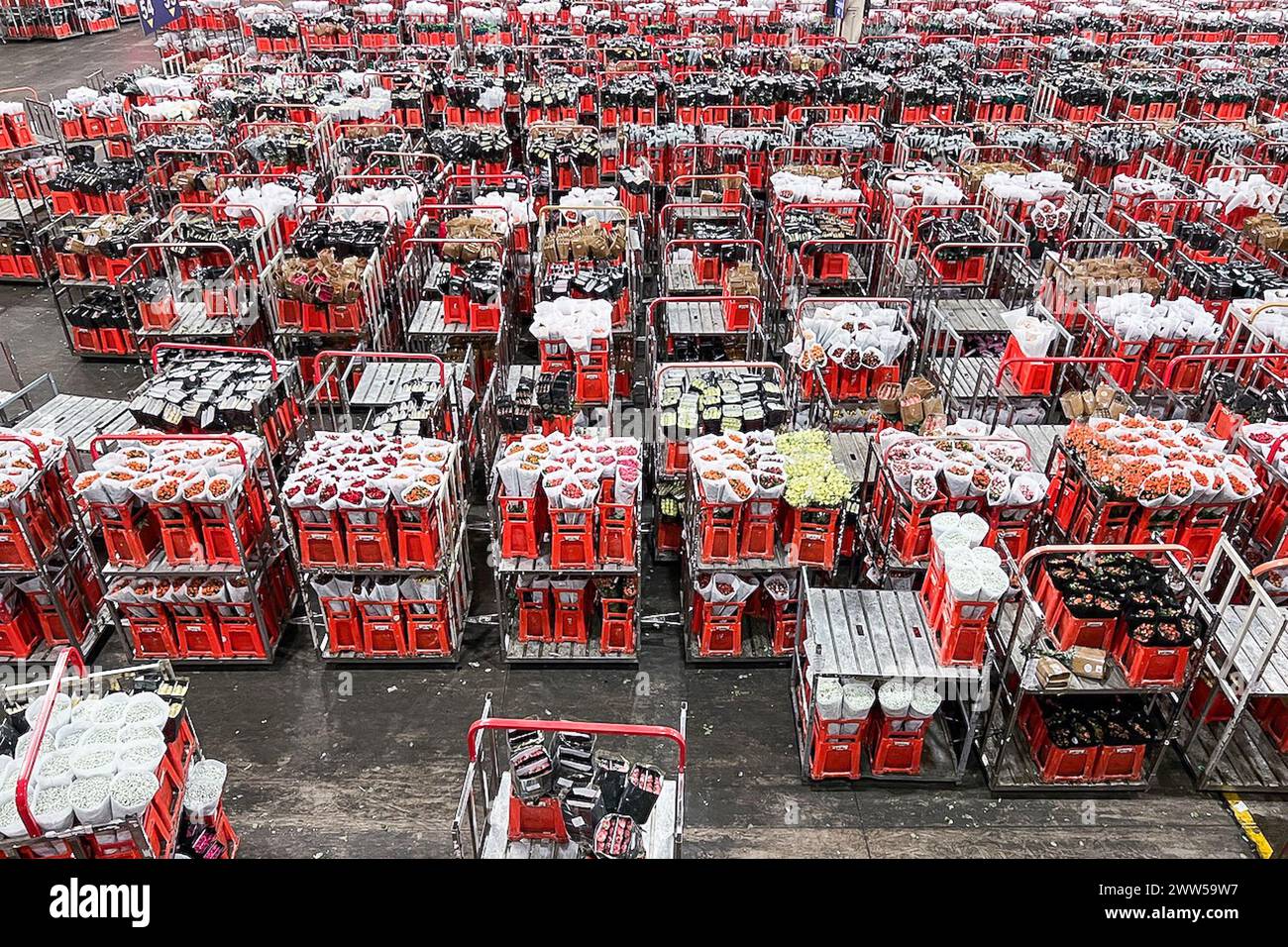 Kunming, China. 06th Dec, 2023. Flowers are traded and shipped at the ...