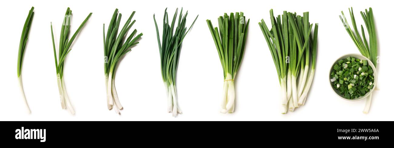 Set of fresh green onion isolated on white Stock Photo - Alamy