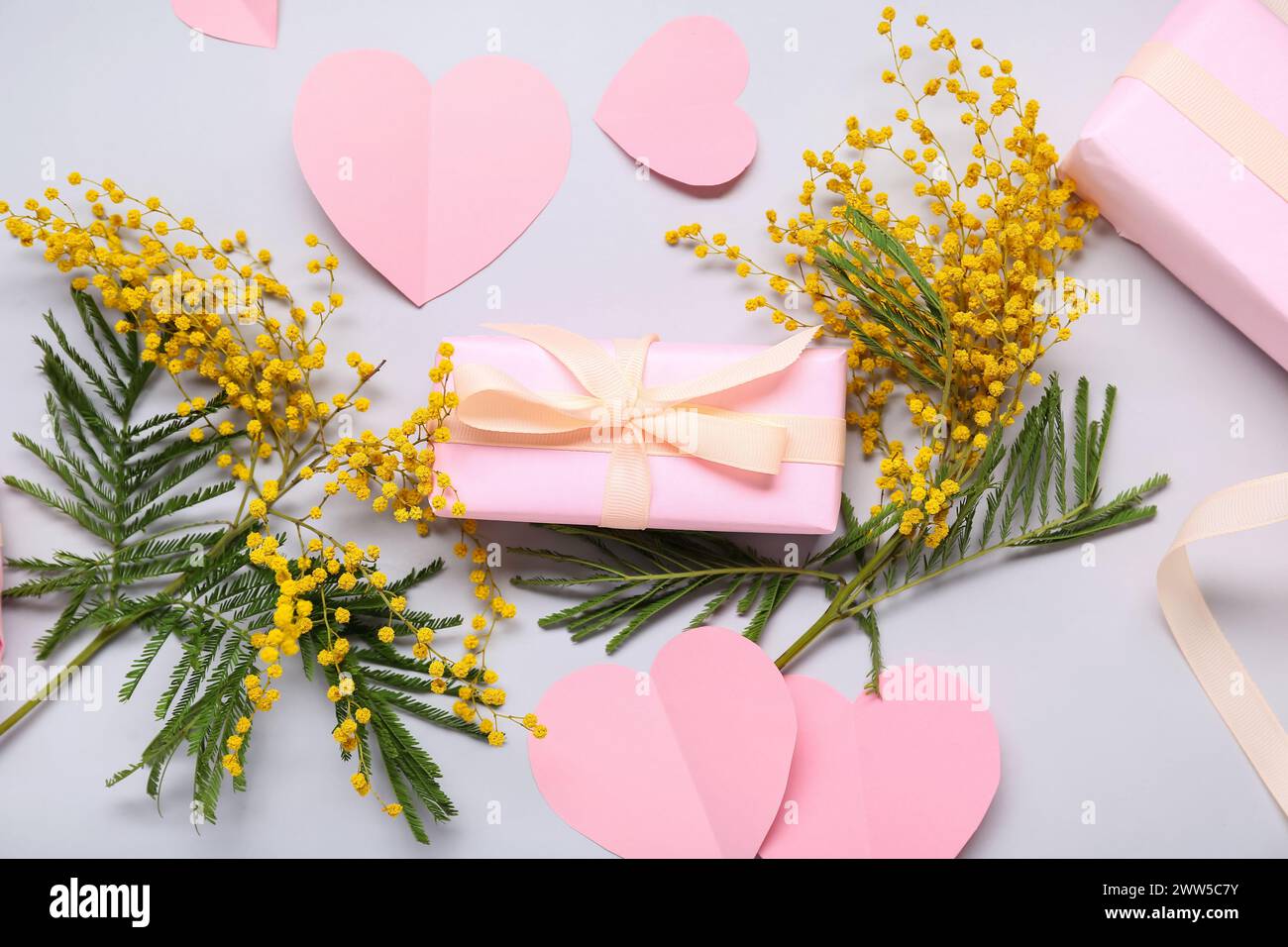 Mimosa and gift box on white background Stock Photo - Alamy