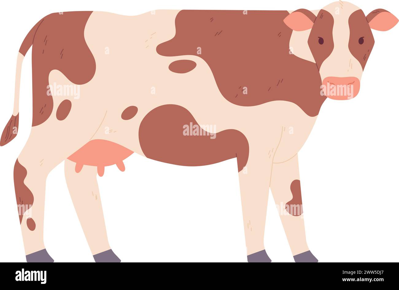 Cow color icon. Farm animal. Cattle symbol isolated on white background ...