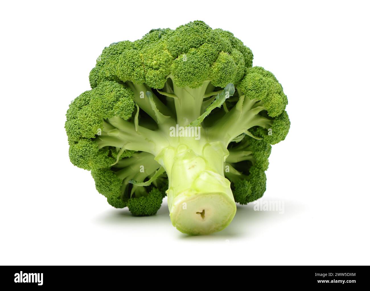 Broccoli vegetable isolated on white background Stock Photo - Alamy