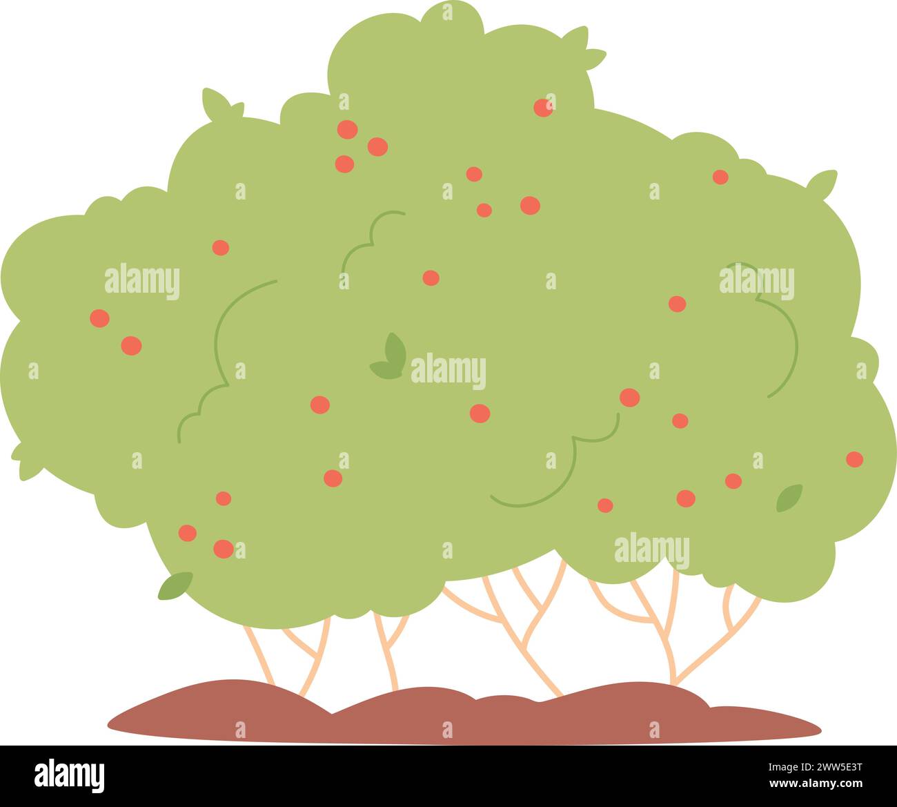 Garden plant shrub Stock Vector Images - Alamy