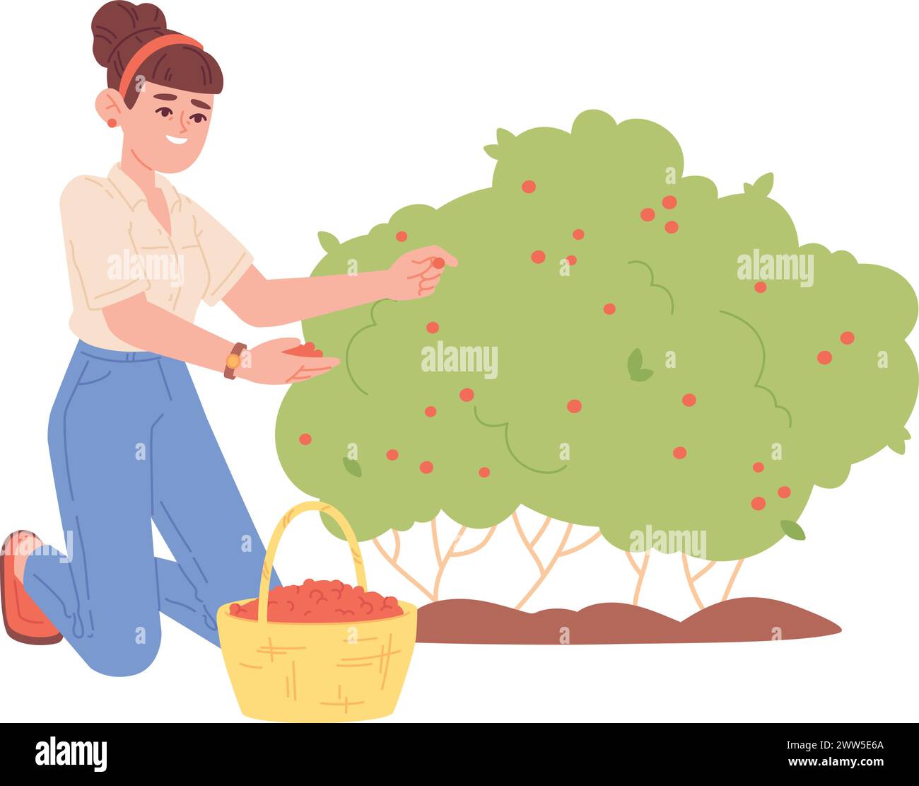 Happy farmer collect berries. Fresh garden plants isolated on white ...