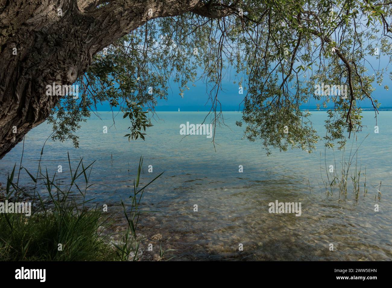 On the beach of the beautiful, turquoise-blue Lake Constance with an ...