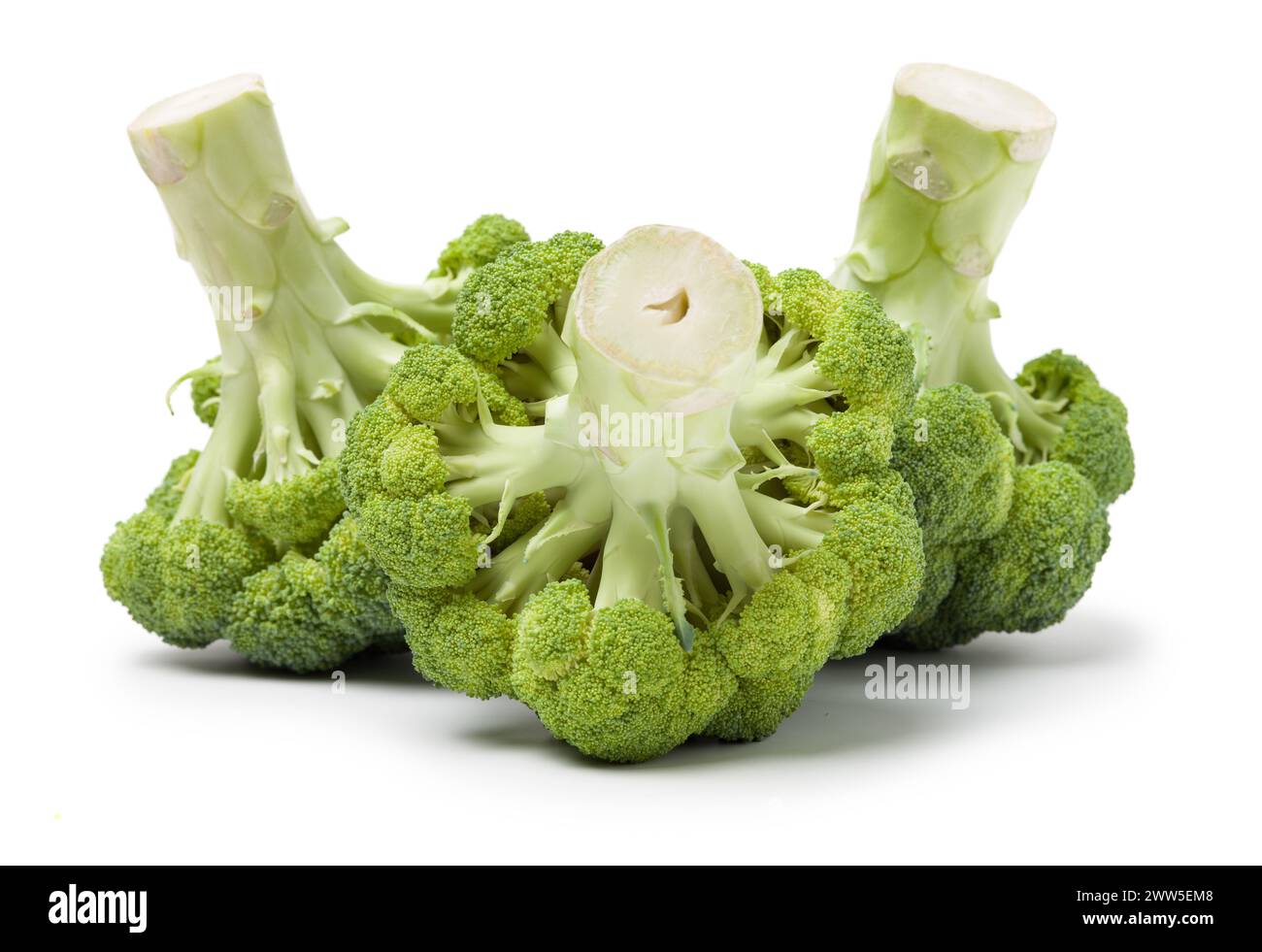 Broccoli vegetable isolated on white background Stock Photo - Alamy