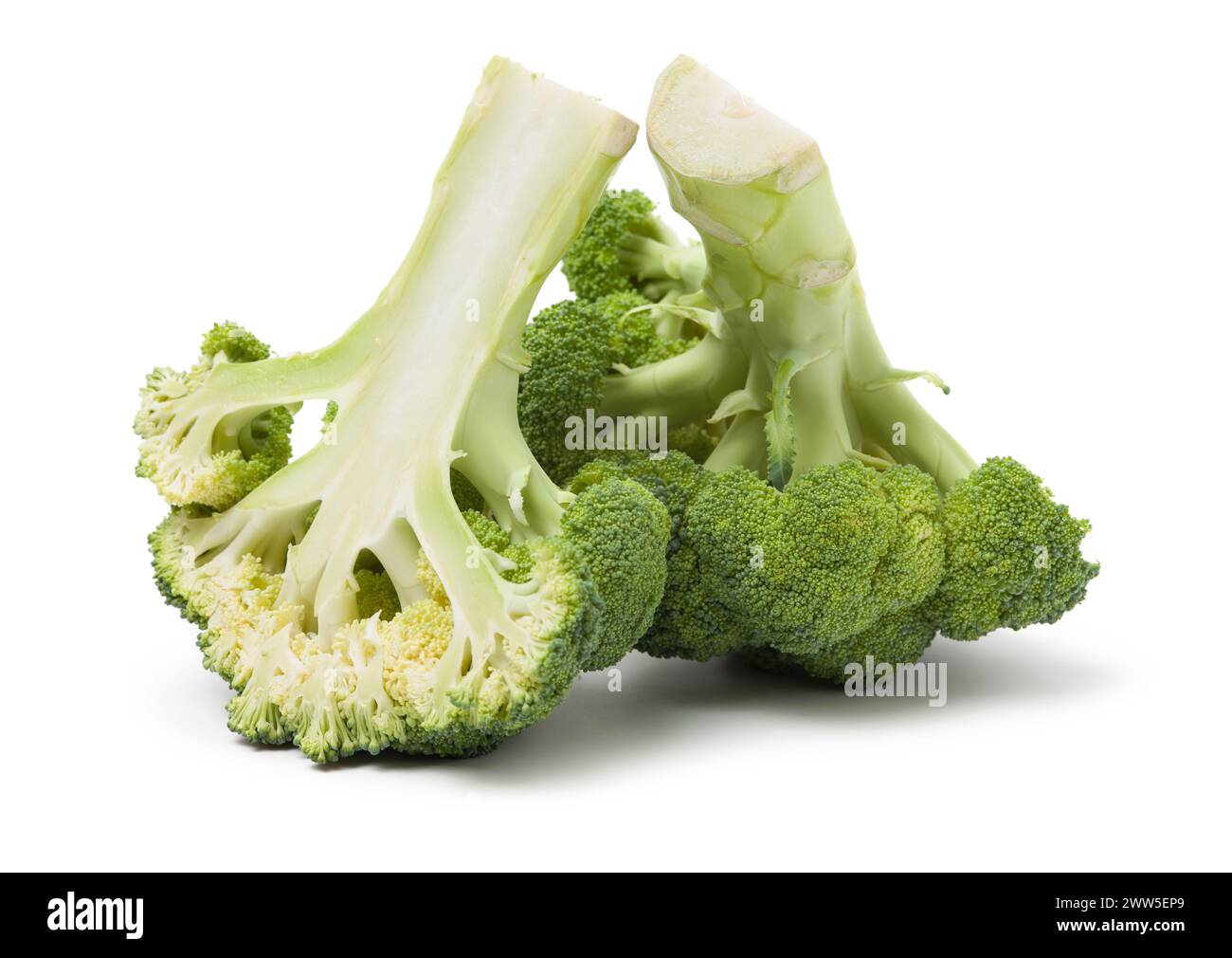Broccoli vegetable isolated on white background Stock Photo - Alamy