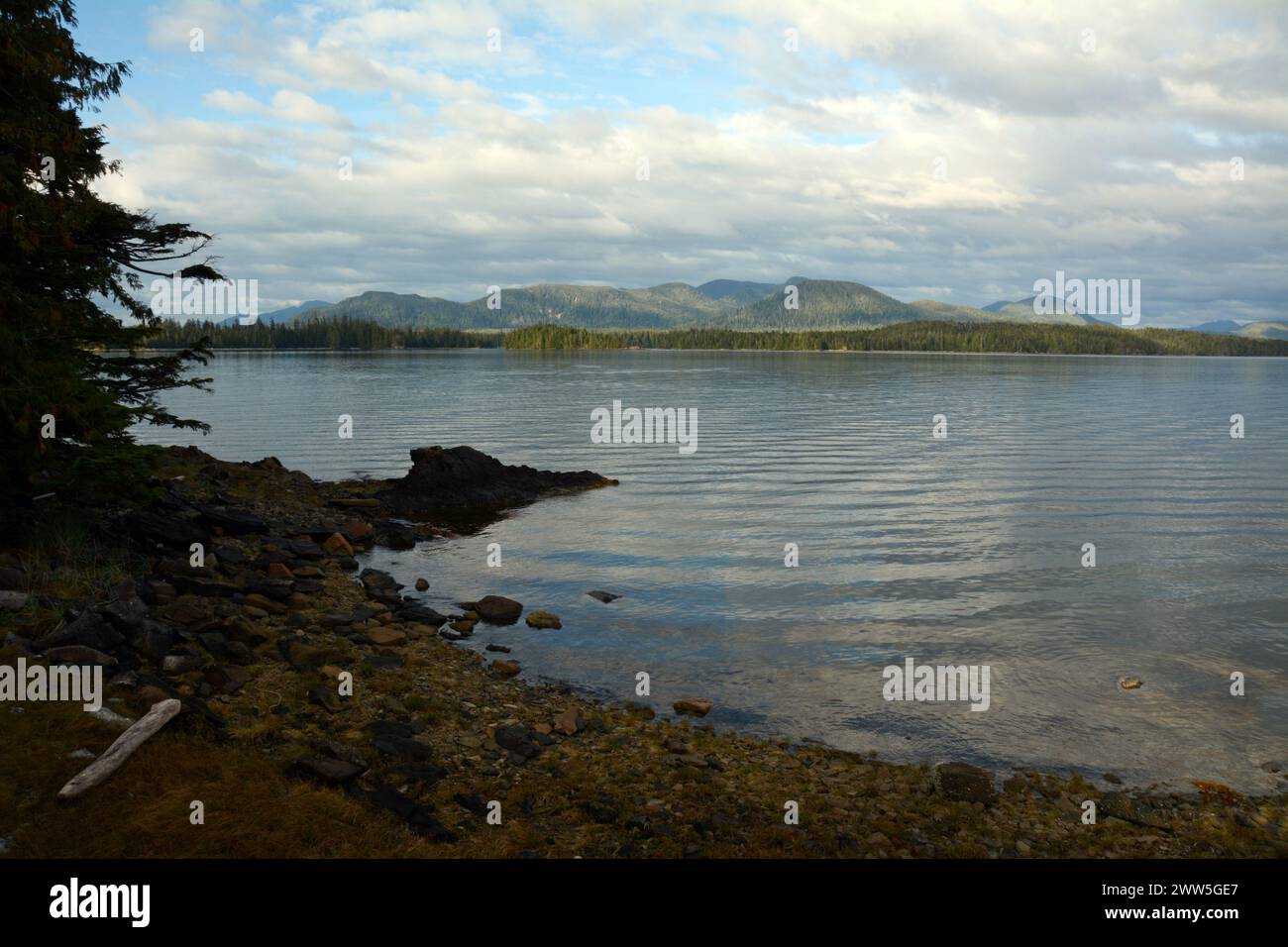 A view of Cunningham Island and the Pacific Ocean seen from Denny ...