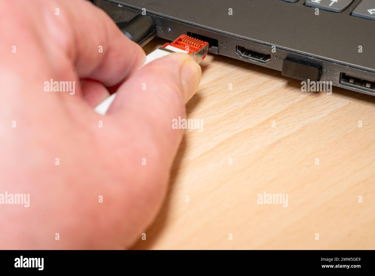 Ethernet cable hand hi-res stock photography and images - Alamy