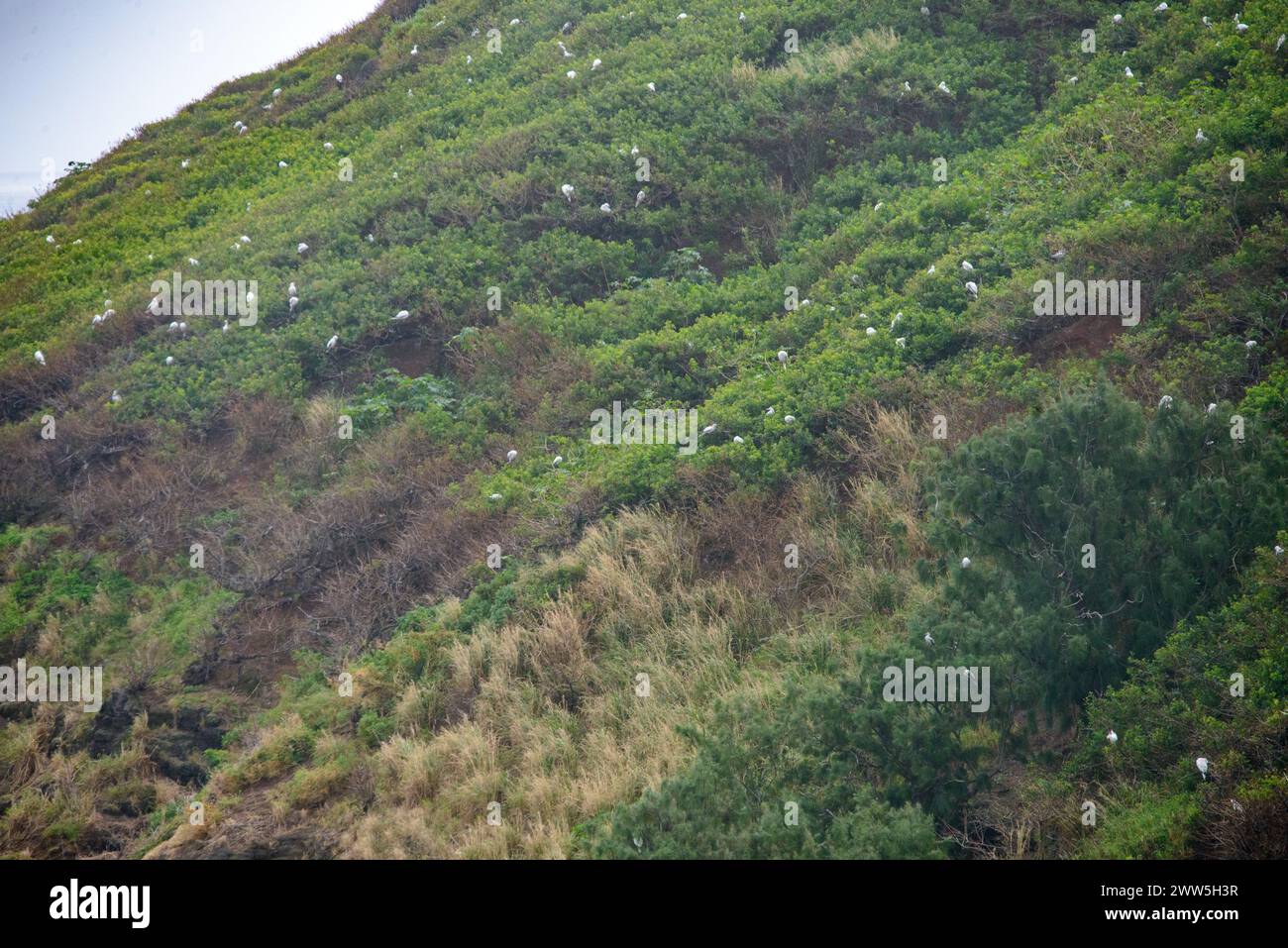 Land, sea and nature scapes Stock Photo - Alamy