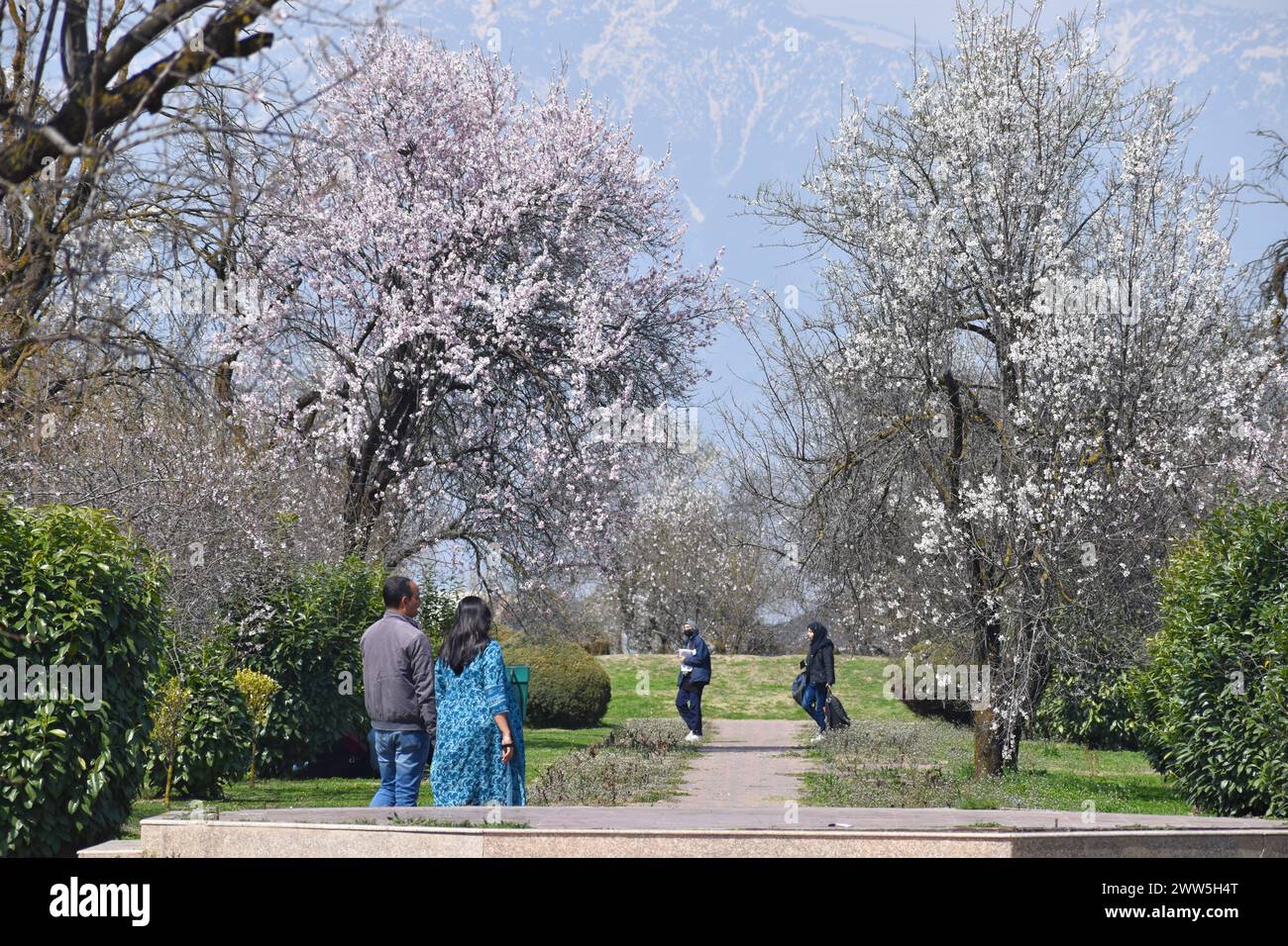Srinagar, India. 20th Mar, 2024. March 20, 2024, Srinagar India ...