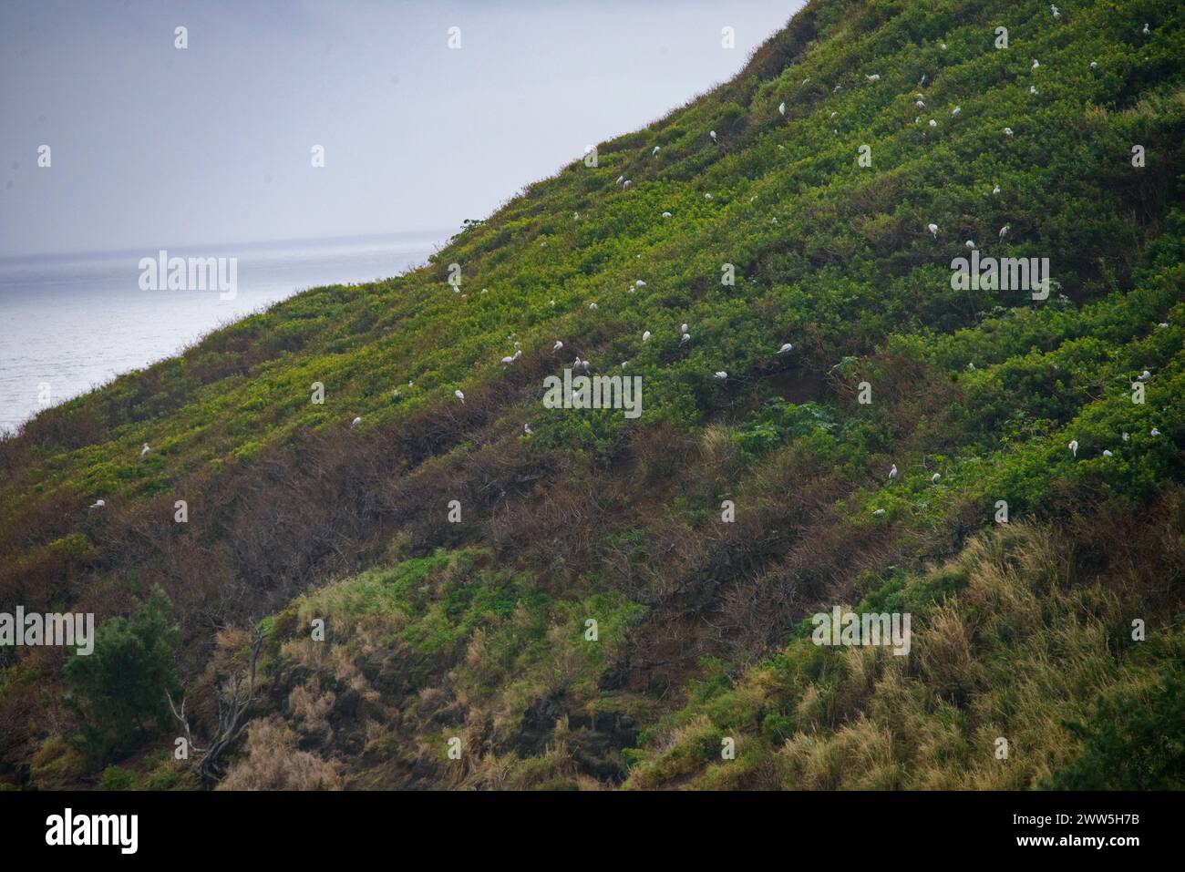 Land, sea and nature scapes Stock Photo - Alamy