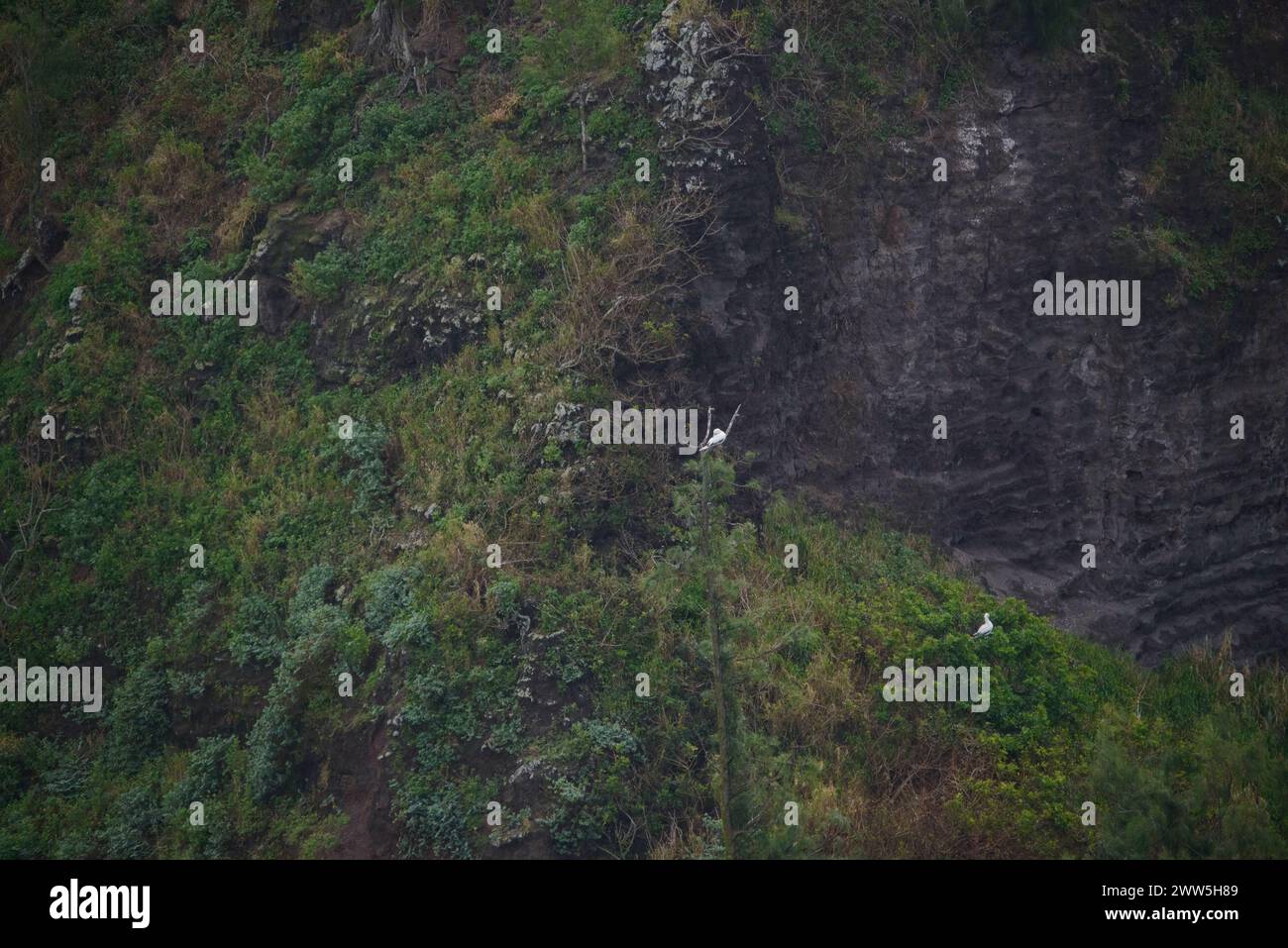 Land, sea and nature scapes Stock Photo - Alamy