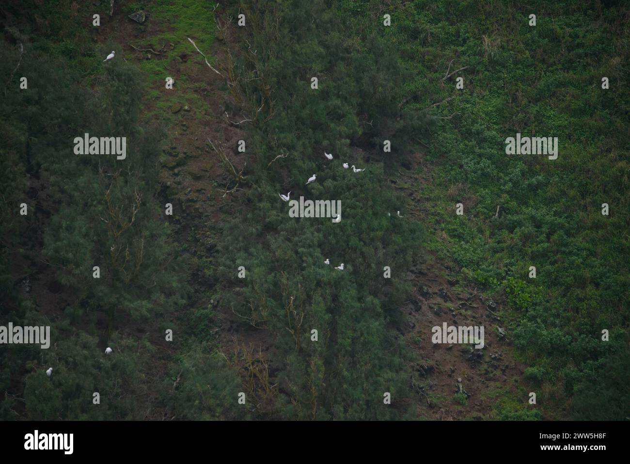 Land, sea and nature scapes Stock Photo - Alamy