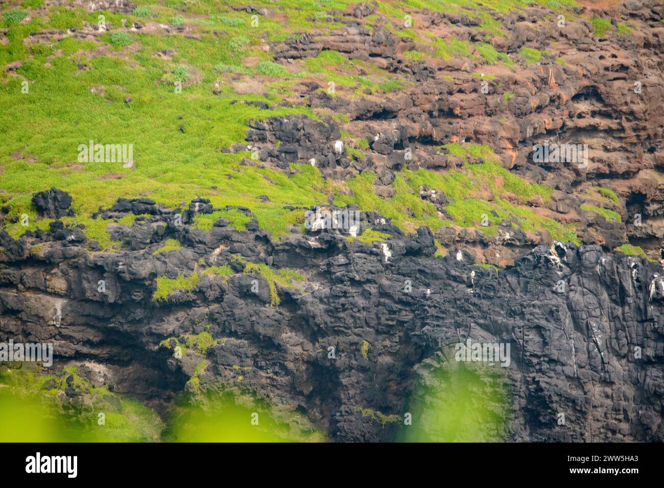Land, sea and nature scapes Stock Photo - Alamy