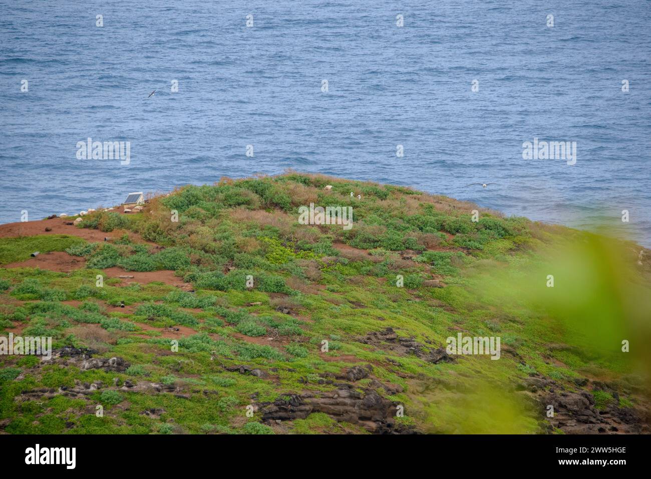 Land, sea and nature scapes Stock Photo - Alamy