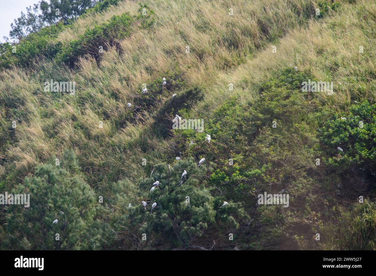 Land, sea and nature scapes Stock Photo - Alamy