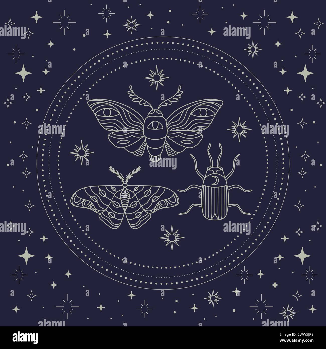 Celestial moth, butterfly and beetle with stars. Modern magic ...