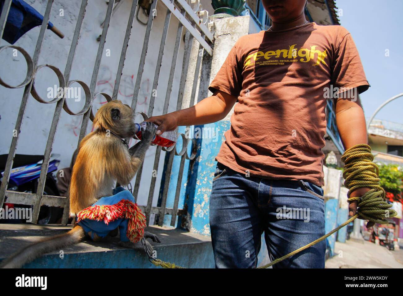 Monkey mask hi-res stock photography and images - Alamy