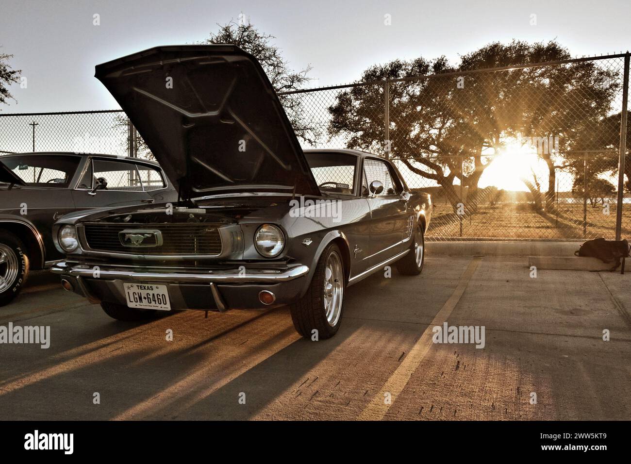 Classic blue mustang hi-res stock photography and images - Alamy