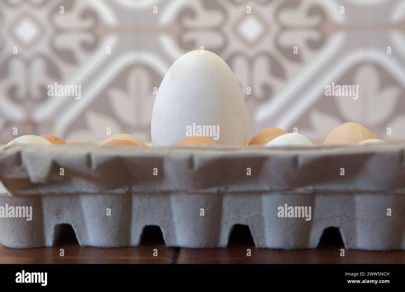 Free-range big goose egg between chicken ones. Display on cardboard ...