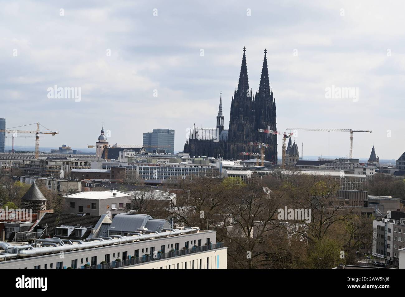 Die Türme des Kölner Dom über den Dächern der Stadt *** The towers of ...