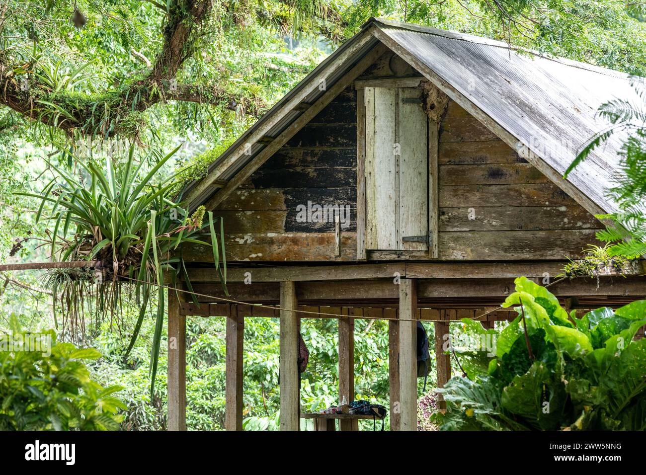 Lopinot hi-res stock photography and images - Alamy