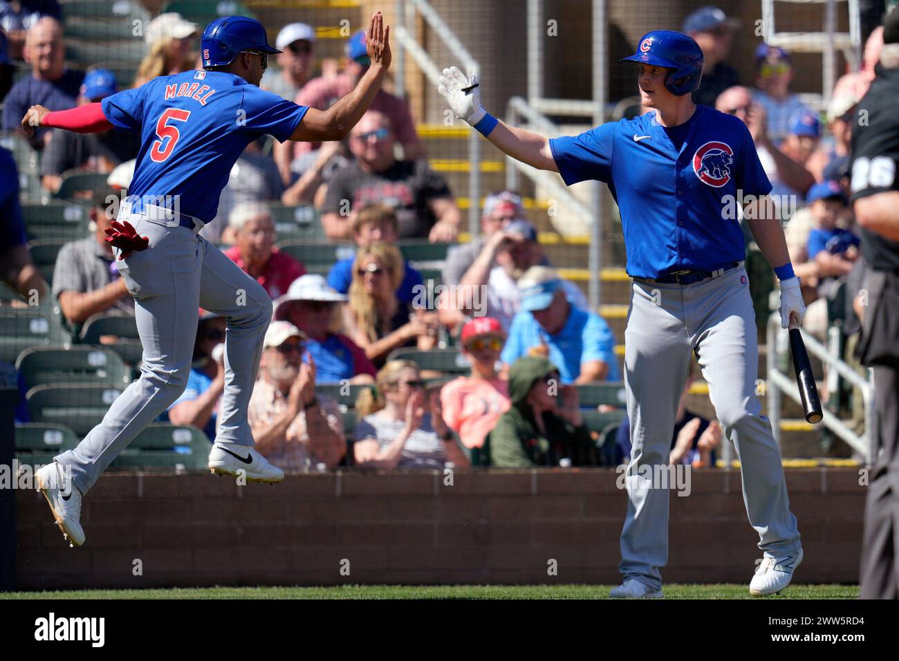 Chicago Cubs' Christopher Morel (5) celebrates his run scored against ...