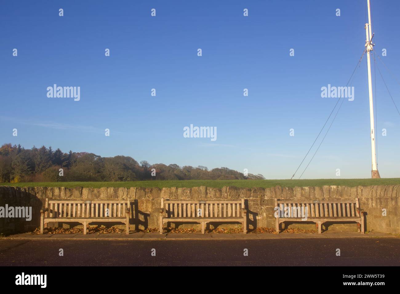 Pathway in garden high quality hi-res stock photography and images - Alamy