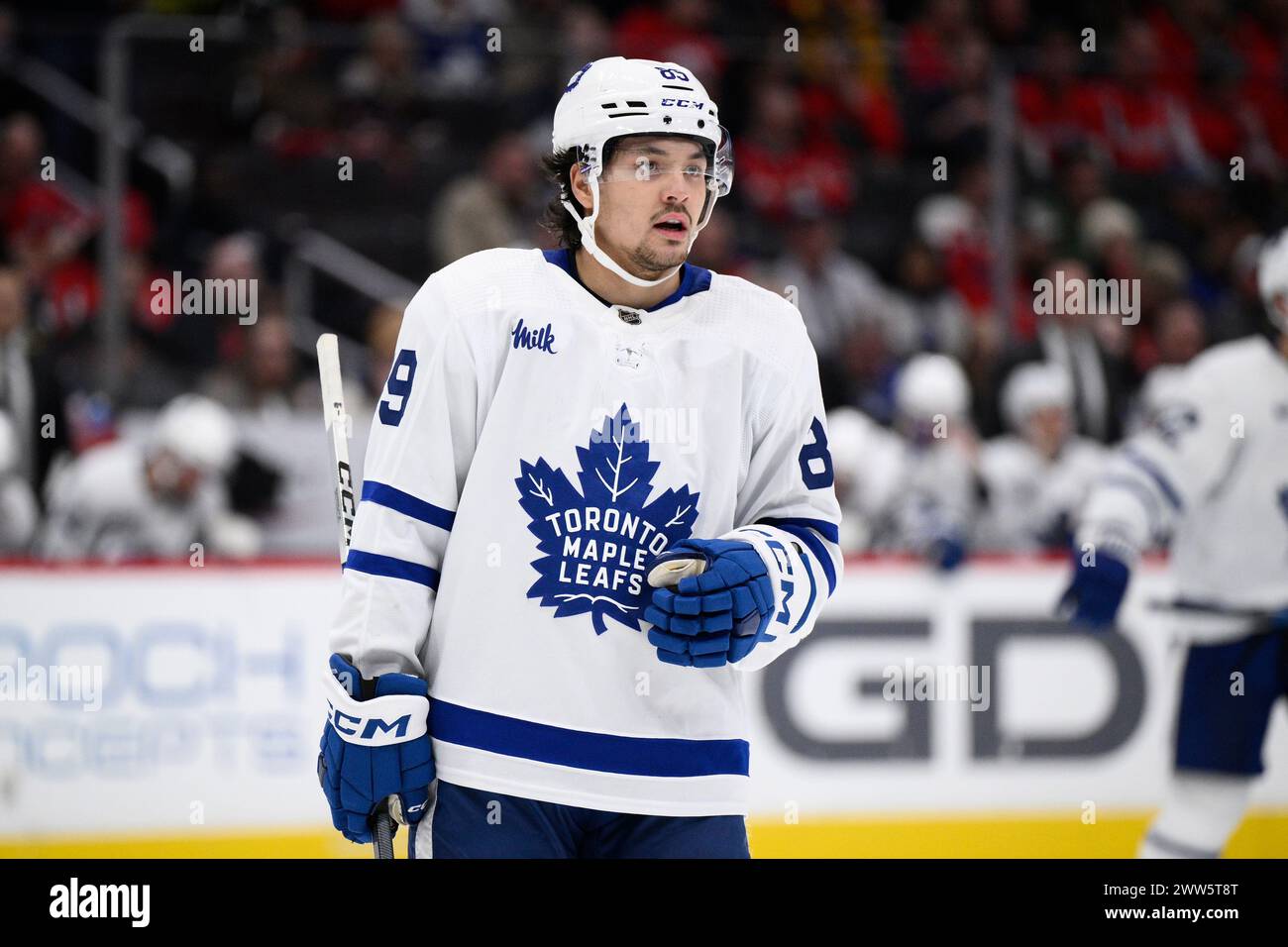 Toronto Maple Leafs left wing Nicholas Robertson (89) looks on during ...