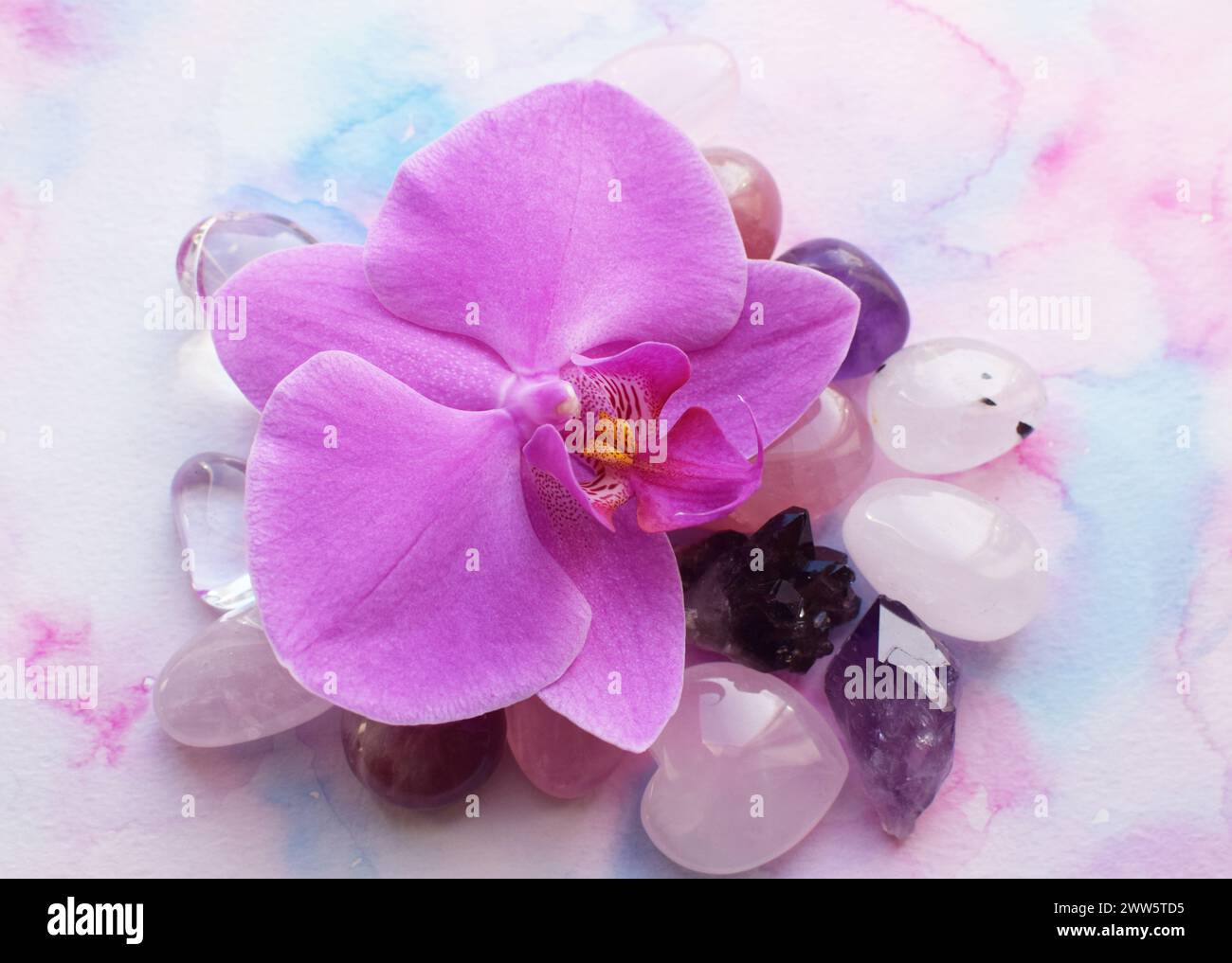 Beautiful amethyst crystals and orchid flower. Healing crystals, the ...