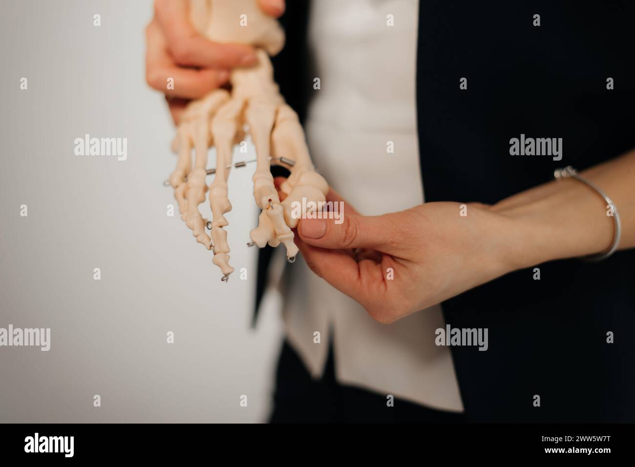 presentation of human foot with drawing of bones on the skin, and model ...
