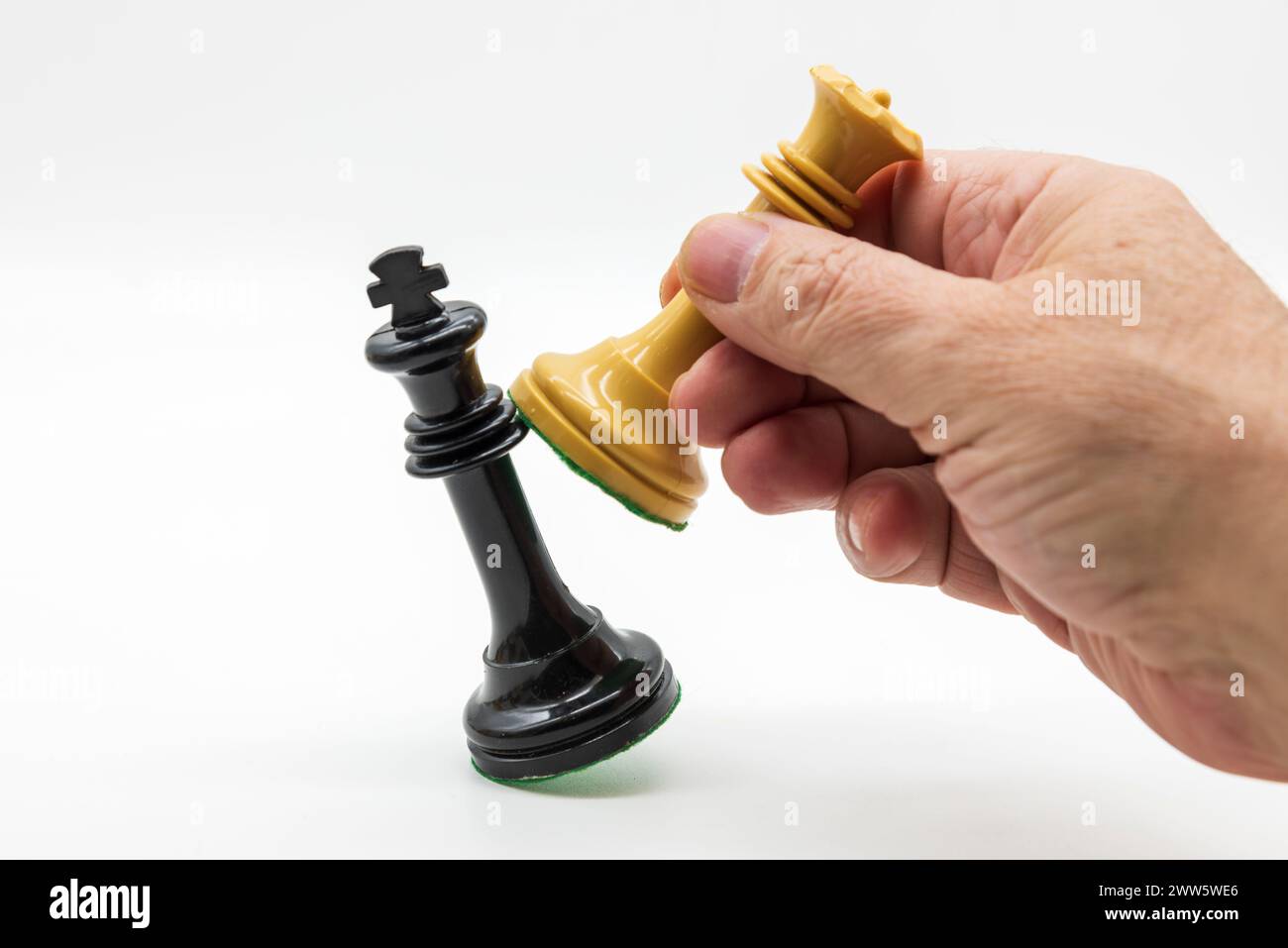 Mano cogiendo la pieza de ajedrez reina blanca, da jaque mate a rey negro Stock Photo - Alamy